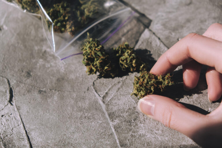 Beginner-Friendly Low-THC Strains – 2025 Cannabis Selection Guide