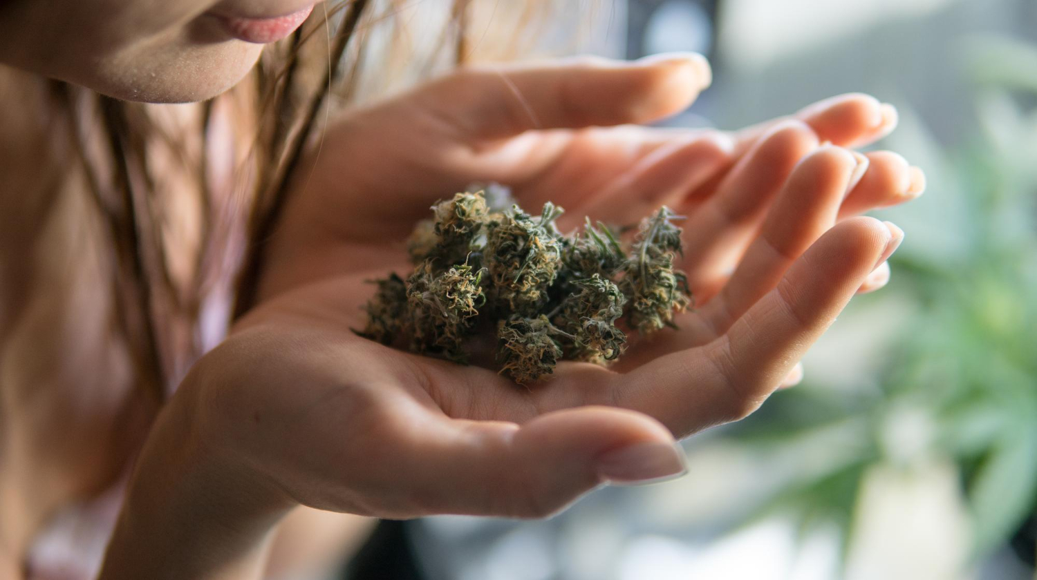 Beginner-Friendly Low-THC Strains – 2025 Cannabis Selection Guide